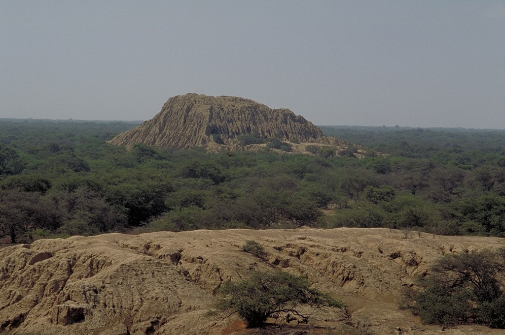 Batán Grande « Trafficking Culture