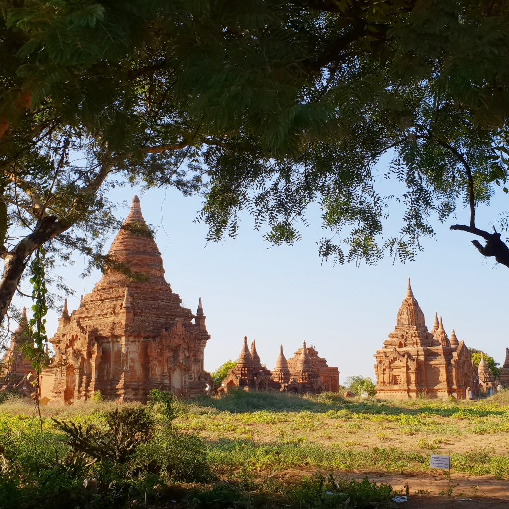 Dr Emiline Smith awarded Scottish Funding Council Global Challenges ...